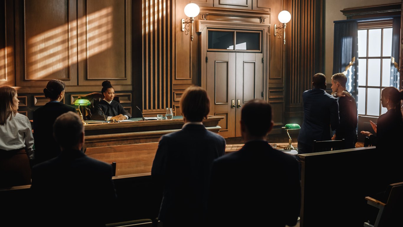 The Legal System